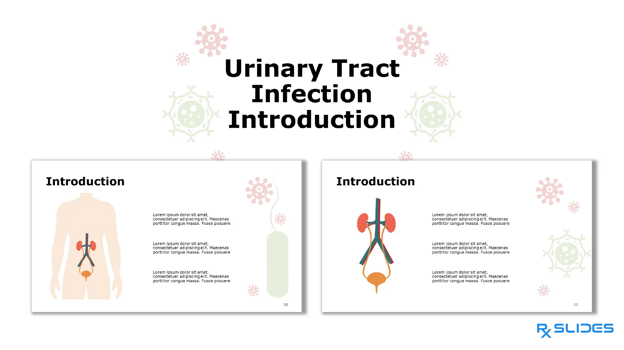 Download Urinary Tract Infections PowerPoint Template| RxSlides